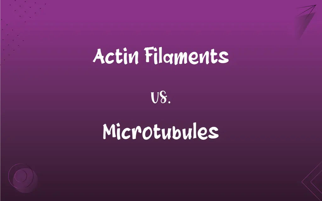 Actin Filaments vs. Microtubules: What’s the Difference?