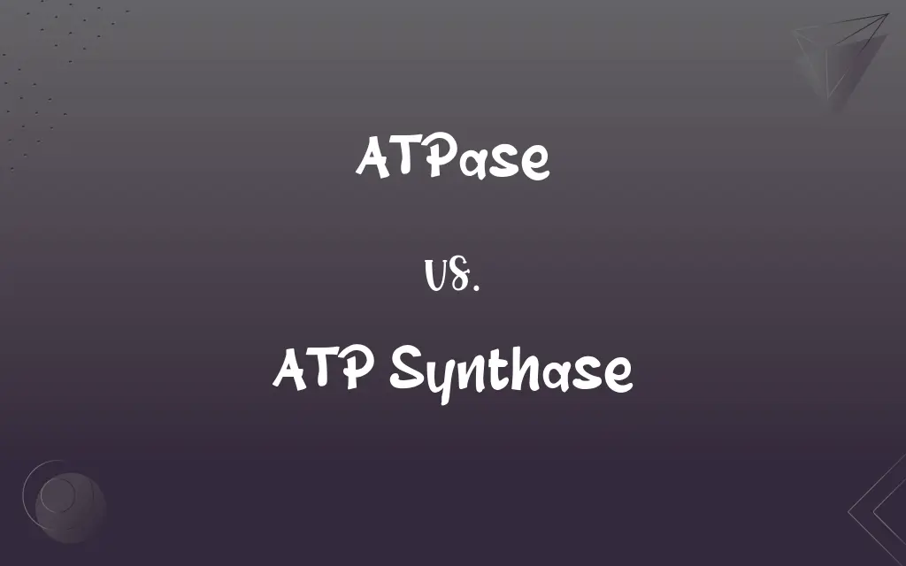 ATPase vs. ATP Synthase: What’s the Difference?