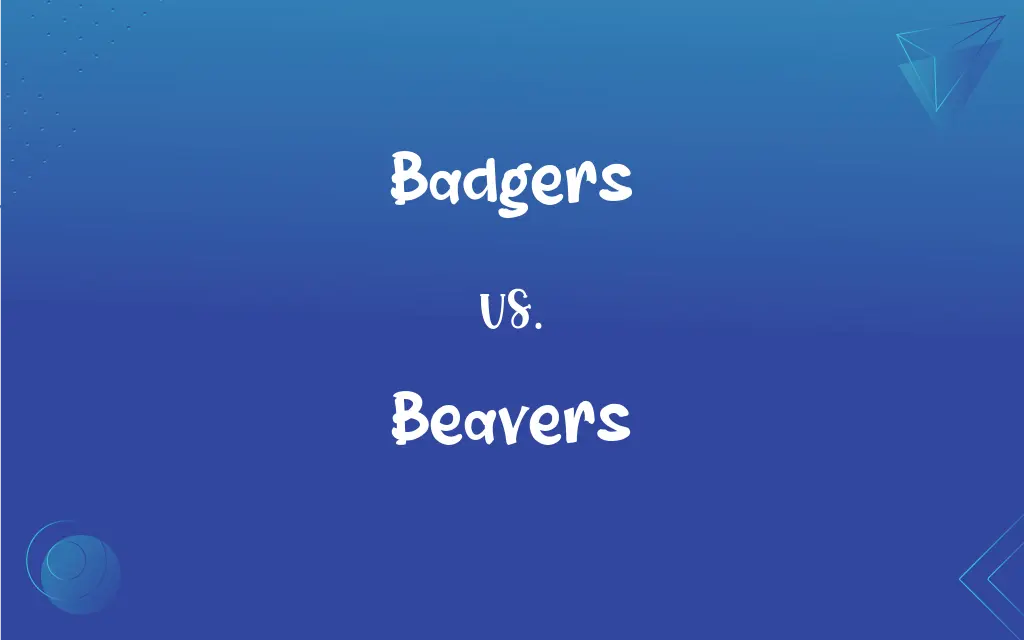 Badgers vs. Beavers: What’s the Difference?