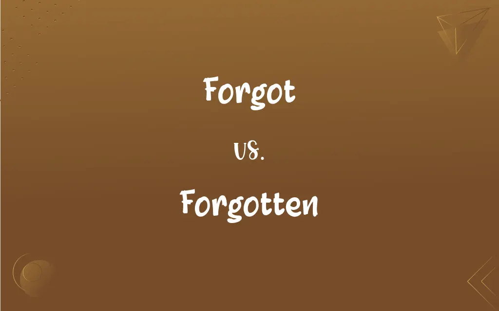 Forgot Vs Forgotten What s The Difference Forgot Vs Forgotten What s The Difference