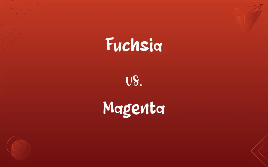Fuchsia vs. Magenta: What’s the Difference?