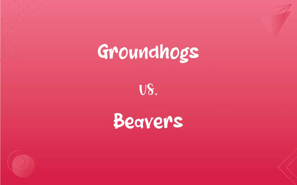 Groundhogs vs. Beavers: What’s the Difference?