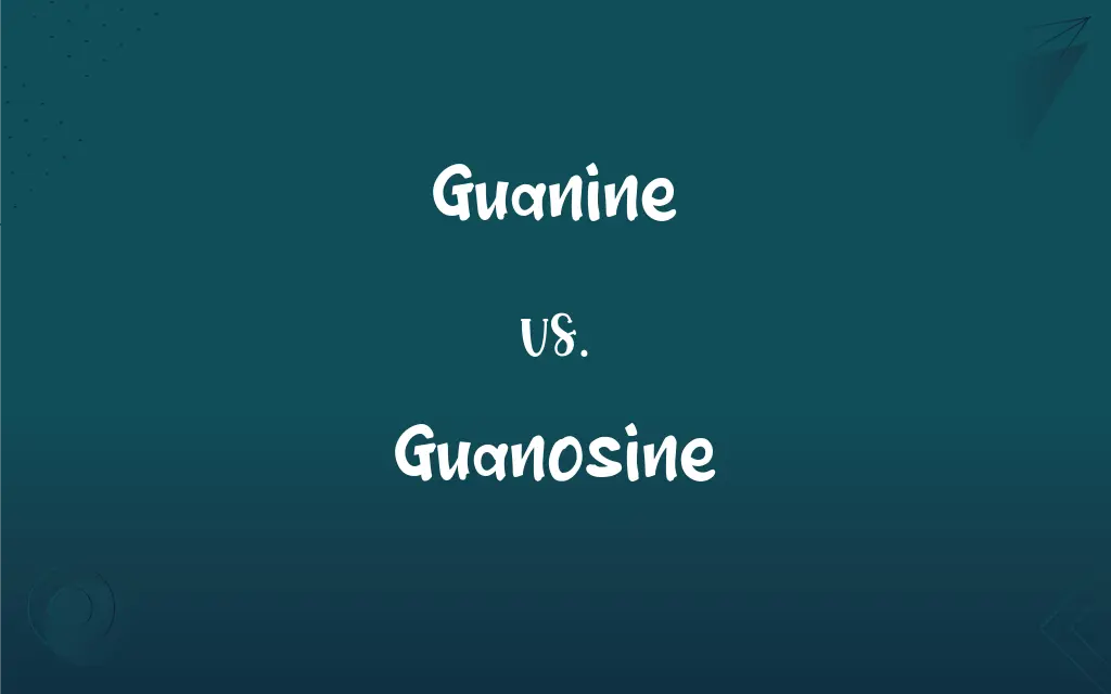 Guanine vs. Guanosine: What’s the Difference?
