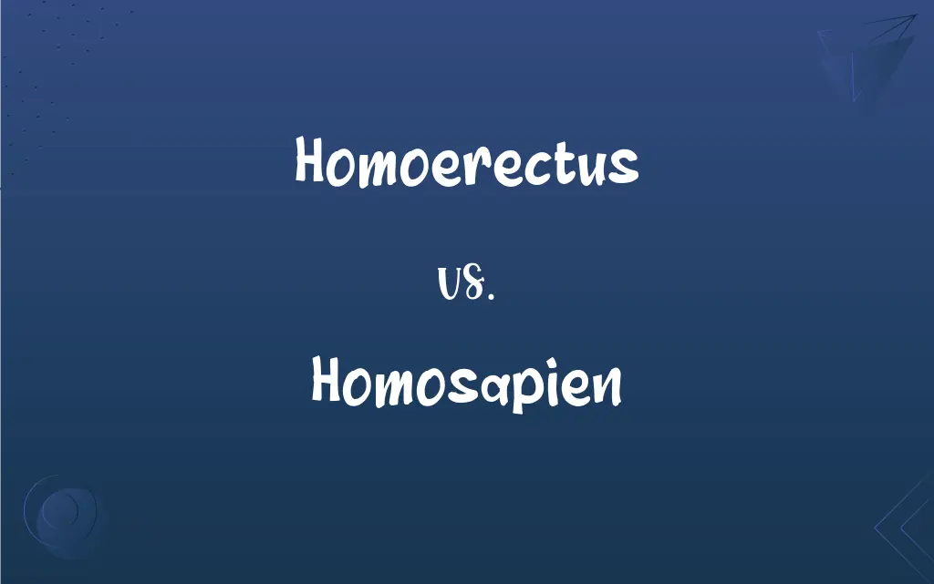 Homoerectus vs. Homosapien: What’s the Difference?