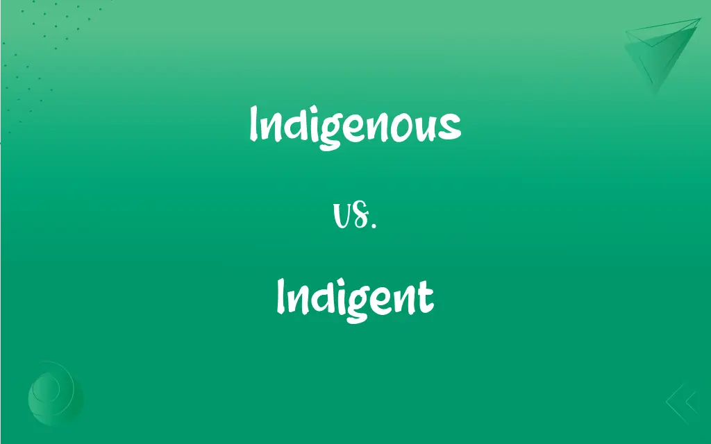 Indigenous Vs Indigent What s The Difference Indigenous Vs Indigent What s The Difference