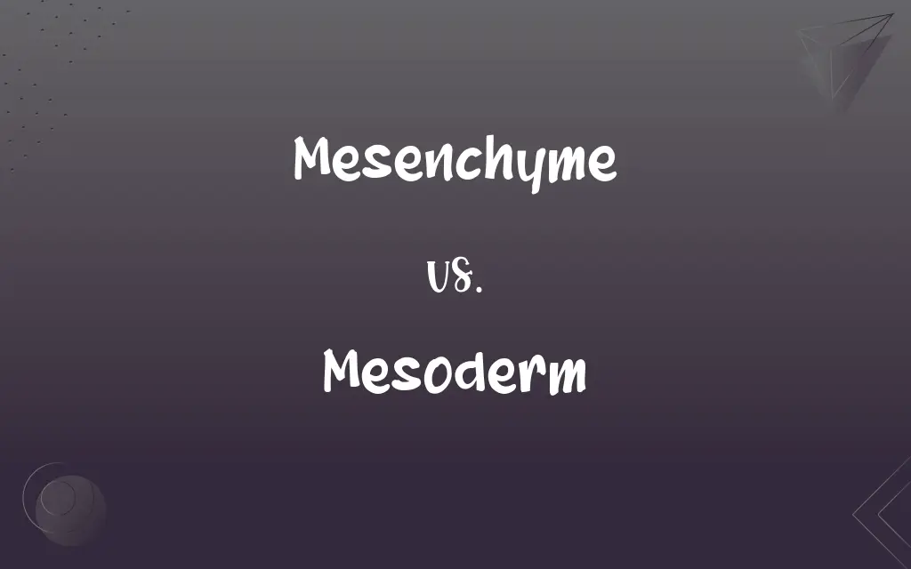 Mesenchyme vs. Mesoderm: What’s the Difference?