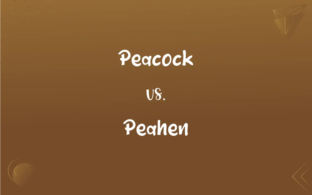 Peacock vs. Peahen: What’s the Difference?