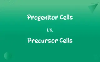 RMS vs. PMPO: What’s the Difference?