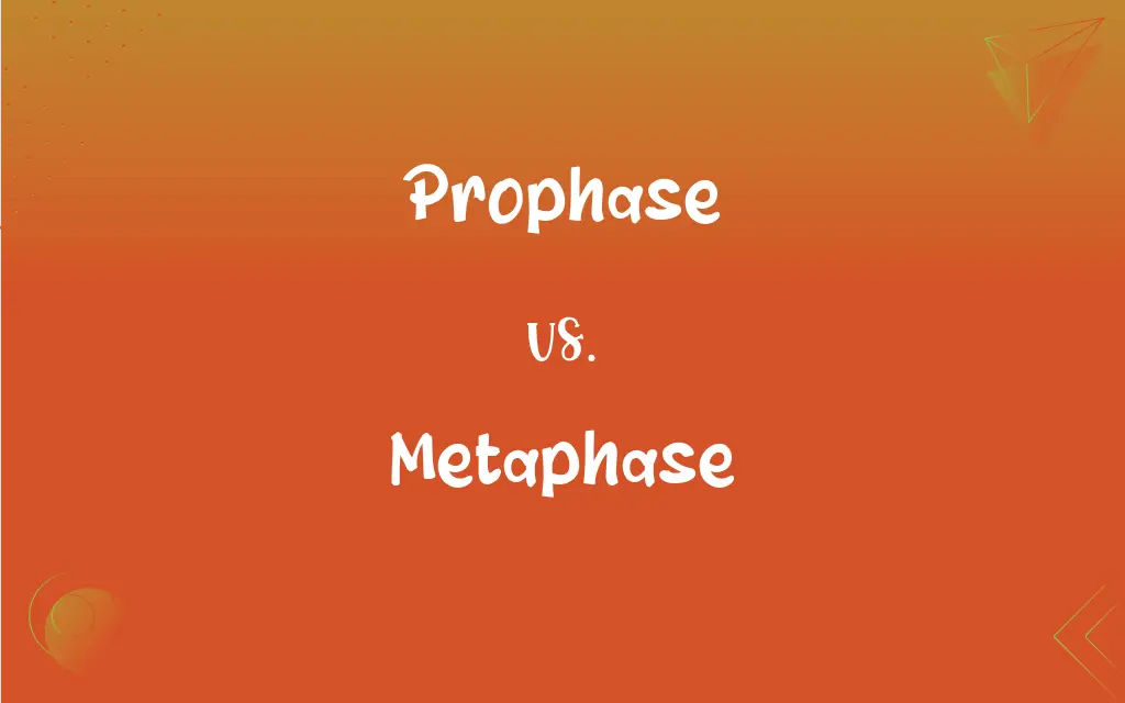 Prophase vs. Metaphase: What’s the Difference?