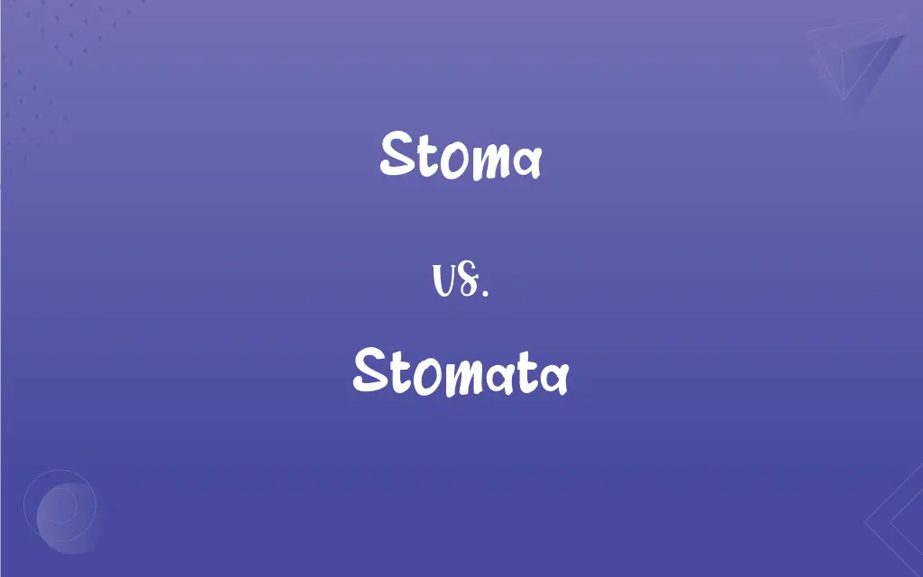 Stoma vs. Stomata: What’s the Difference?