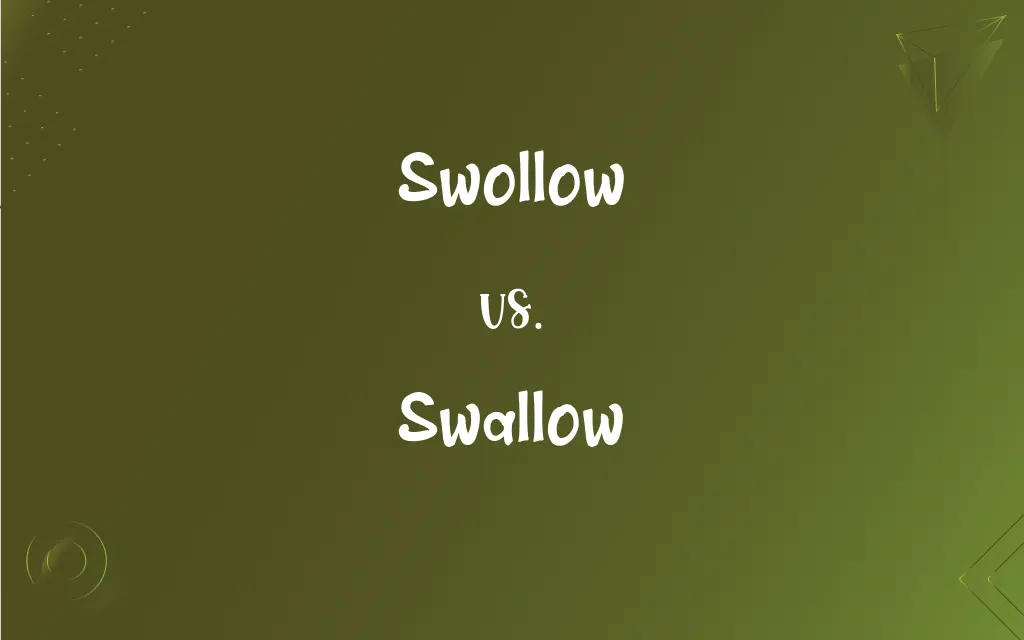 Swollow vs. Swallow: Mastering the Correct Spelling