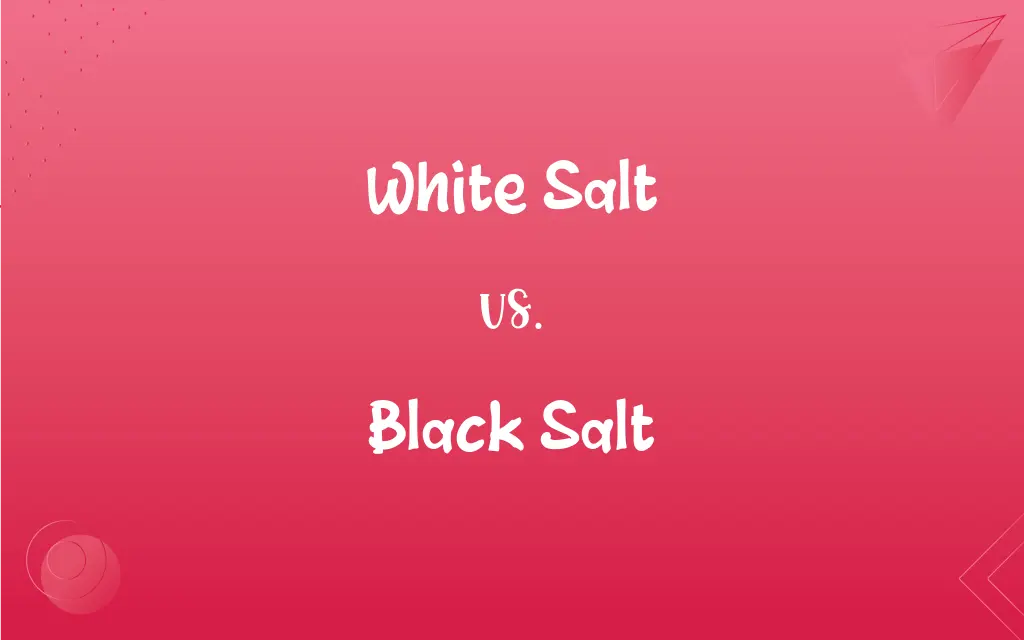 White Salt vs. Black Salt: What’s the Difference?